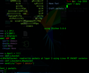 Scapy: crafting packets – Multiverse 2.357